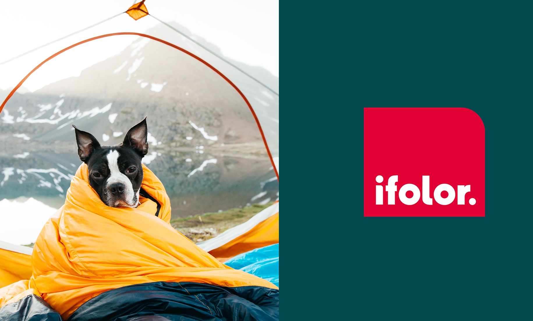 Wirz stellt das Ifolor-Fotobuch in Pose - kleinreport.ch